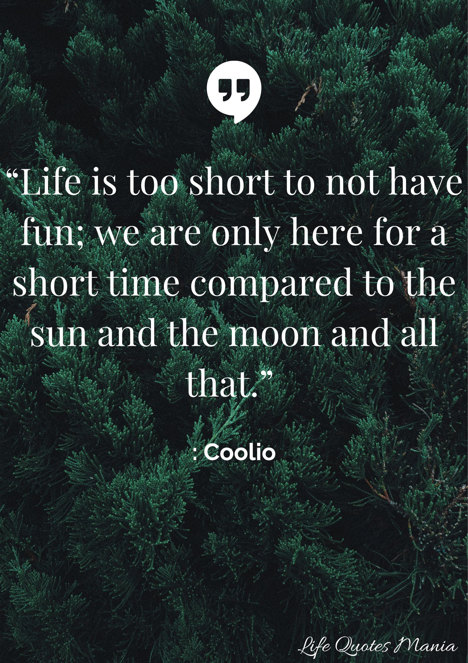 50 Best Motivational Quotes About Life is Too Short - Life Quotes Mania
